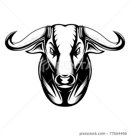 Vector Illustration Front View Of Bull Head Stock Illustration