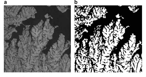 figure 2 from fuzzy entropy image segmentation based on particle swarm optimization semantic