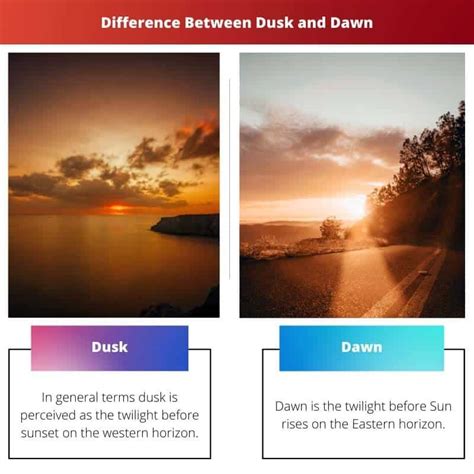 Meaning Behind Dusk Till Dawn At Connie Talbert Blog Meaning Behind Dusk Till Dawn At Connie Talbert Blog