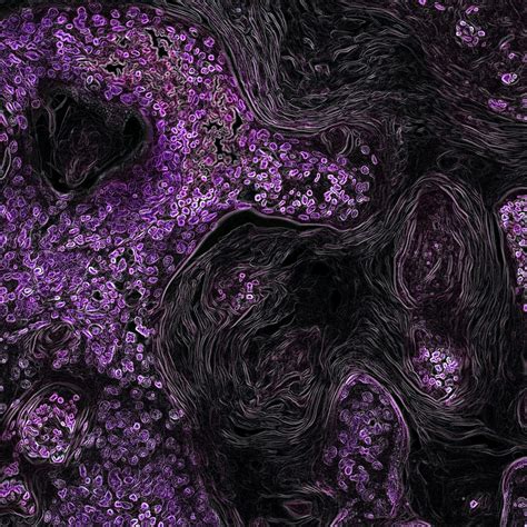 What In The World Are Large Language Models Llms By Tanisha Digital Gen Ai Adventures