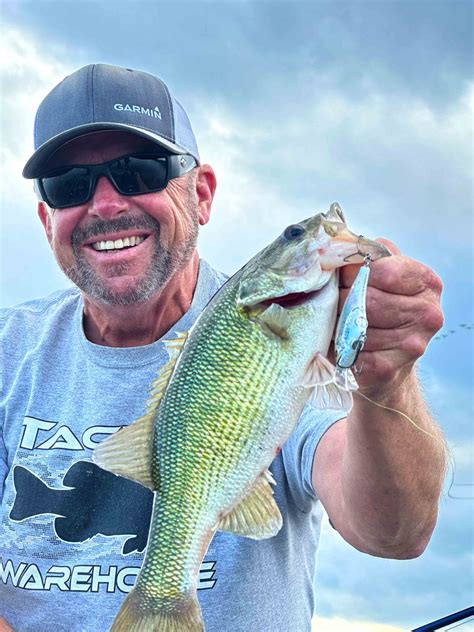 Tips For Catching Winter Spotted Bass Bass Angler Magazine
