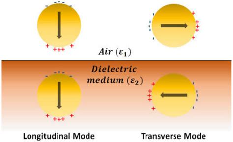 A Schematic Illustration Of The Longitudinal And Transverse Plasmon