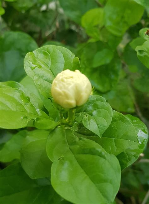 K And Y Food And Cold Drink K And Y Food And Cold Drink