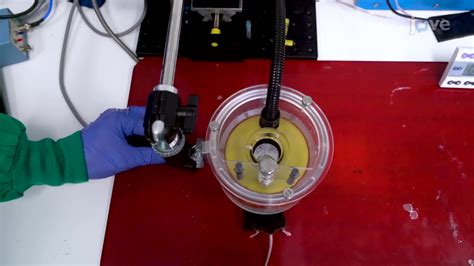 An Ultrasound Assisted Delivery Of Antibodies In A Mouse Model