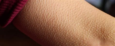 We No Longer Need These Body Parts ScienceAlert