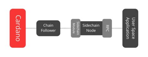 Everything You Want To Know About The Cardano Sidechain Toolkit Adapulse