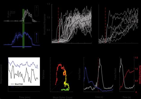Neuronal Variability And Predictive Gain Modulation A Instantaneous Download Scientific