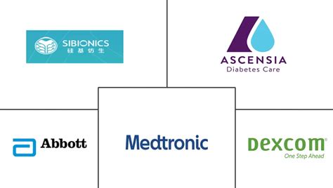 중국 연속 혈당 모니터링 장치 시장 규모 및 점유율 분석 산업 연구 보고서 성장 동향 중국 연속 혈당 모니터링 장치 시장 규모 및 점유율 분석 산업 연구 보고서 성장 동향