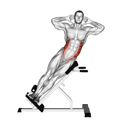 45° Side Bend Sculpt Your Abs With This Effective Move Fitness Volt