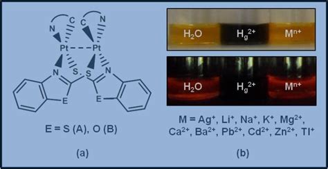 Selective Naked Eye Sensors For Real Time Detection Of Mercury Ion In