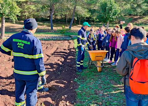 Bari E Bat Arif Puglia