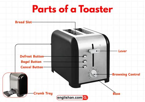 Parts Of A Toaster Complete Guide With Labeled Diagram