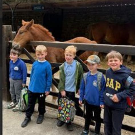 Rowsley C Of E Primary School Chatsworth Farmyard Visit