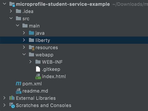 An Introduction About Microprofile Huong Dan Java
