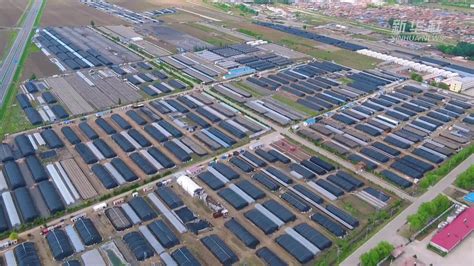 黑龙江东宁：黑木耳丰收产业旺凤凰网视频凤凰网