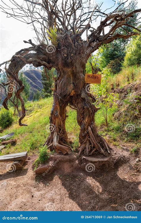 Characters From Lord Of The Rings Have Been Created From Trees And Wood At Bosque ENTS Cusco A