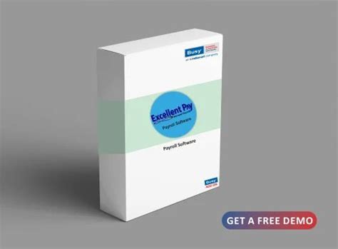 Excellent Pay Payroll Software At Rs 62000 Salary Slip In New Delhi