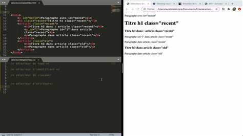 sélecteurs simples en css