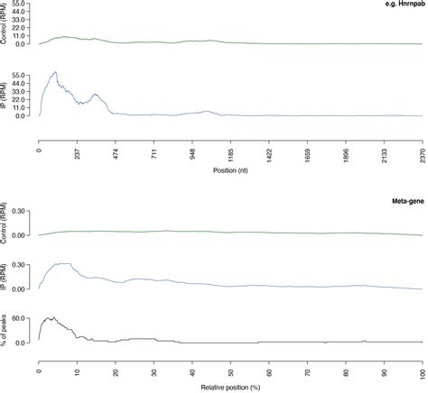 RNA Framework V Major Released RNA Framework