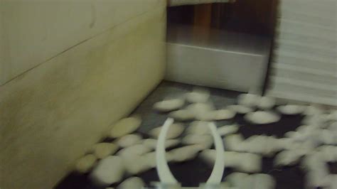 Krpai Object Detection Dataset By Krsri