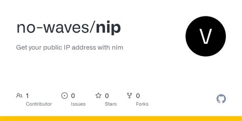 Nip A Simple Package To Get Your Public Ip Address With Nim Nim