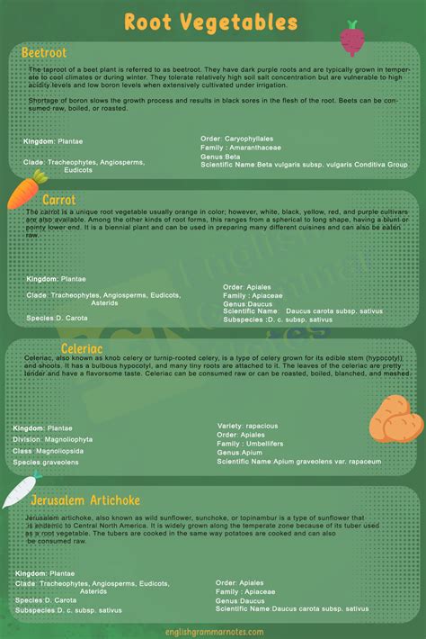 Root Vegetables List Of Root Vegetables With Description English