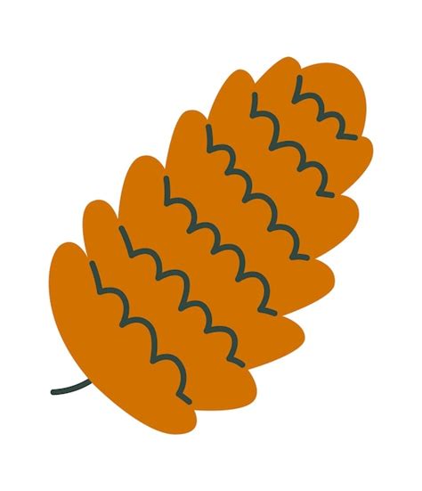 Premium Vector Coniferous Cone Fetus