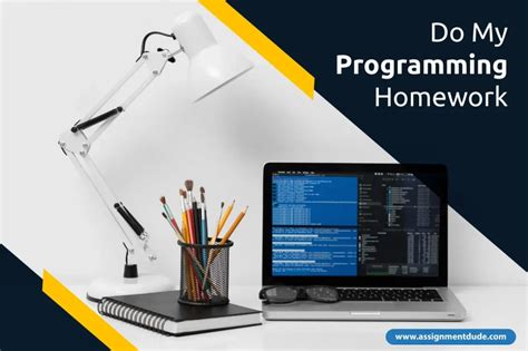 do my programming homework assignmentdude