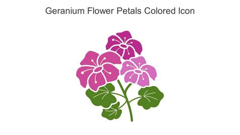 Geranium Flower Petals Colored Icon In Powerpoint Pptx Png And Editable