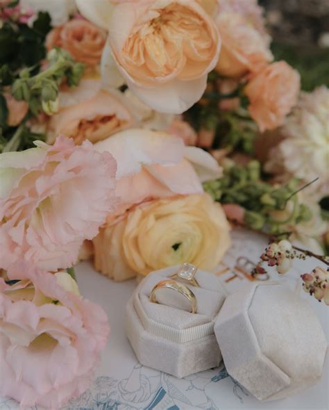 Home Bailey Kate Photography