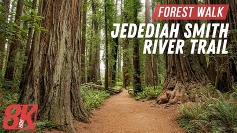 Amazing Treadmill Workout Scenery 8k Hdr Scenic Hike On Jedediah
