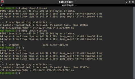 How To Stop Pause And Resume Processes Running In Your Terminal Linux Tips