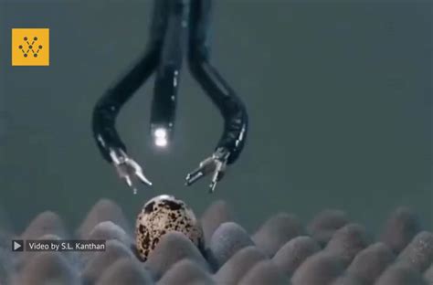 Laura Manning On Linkedin Robotics Roboticdexterity Howdoyourobot