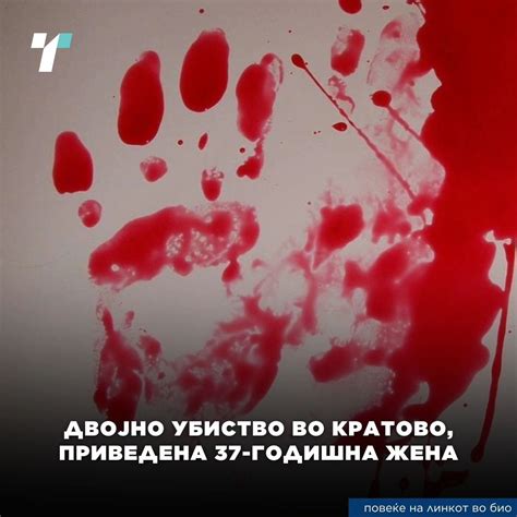 Двојно убиство во Кратово а 37 годишна жена е приведена во доцна вечерта во четврток Според