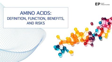 Amino Acids Definition Function Benefits And Risks