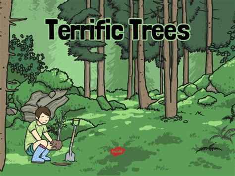 I Can Identify Trees By Their Leaves I