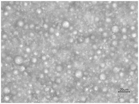 Polyurethane Peppermint Oil Microcapsule And Preparation Method Thereof Eureka Patsnap