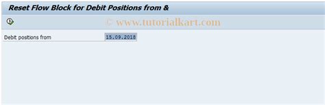 FO SAP Tcode Reset Transaction Block