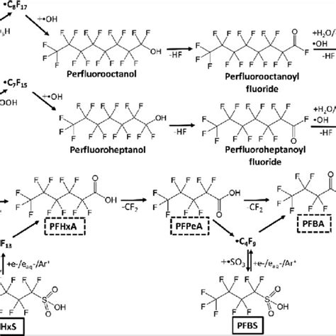 Proposed Degradation Pathway For Pfos And Pfoa In Plasma Treatment Download Scientific Diagram