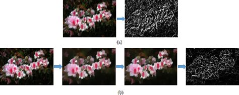 Figure 1 From A Robust Blind Deblurring Method For Natural Blurry