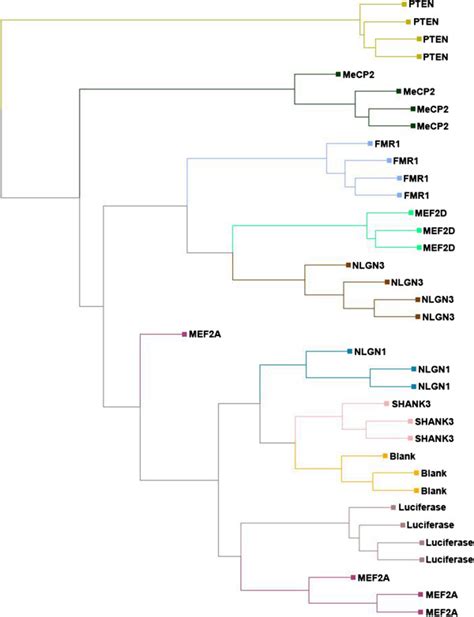 Hierachical Clustering Of Intensity Values From Individual Download Scientific Diagram