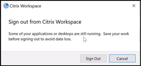Session Experience Citrix Workspace™ App For Windows