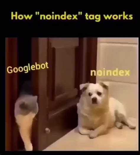 Muhammad Sohaib On Linkedin Seo Seomemes Digitalamarketing