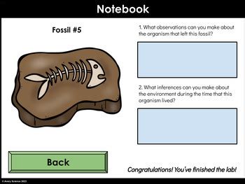 Digging For Fossils Digital Excavation Lab For Fossil Evidence By Avery Science