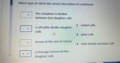 Solved Match Type Of Cell To The Correct Description Of Chegg Com
