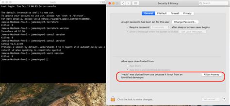 Macos Catalina Error “terraform” Cannot Be Opened Because The Developer Cannot Be Verified