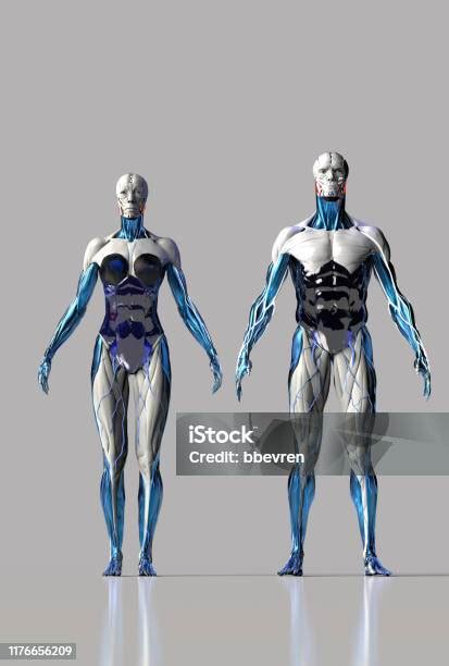회색 바닥에 서서 3d 렌더링 포즈를 취하는 사이보그 로봇의 남성과 여성 형태 0명에 대한 스톡 사진 및 기타 이미지 0명 3차원 형태 과학 Istock