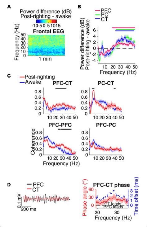 Dynamics Following Ror A Group Difference Spectrogram Of The Download Scientific Diagram