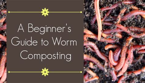 Worm Composting Guide For Beginners Including How To Make A Diy Vermicomposting Bin For Indoor