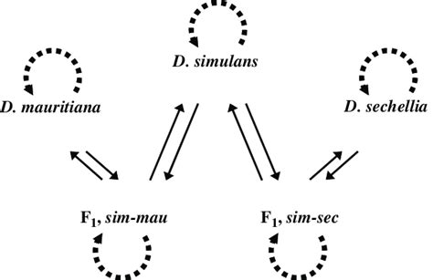 Microarray Hybridization Schematic Each Solid Arrow Represents 2
